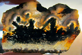 The Agatelady: Adventures and Events: Wisconsin Agate Collection Crawl ...