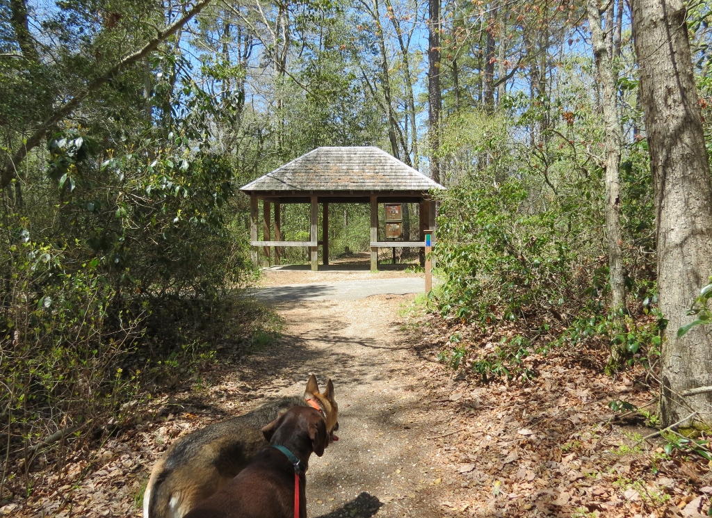 Gone Hikin': Parvin State Park, NJ