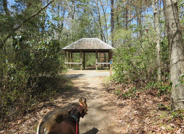 Gone Hikin': Parvin State Park, NJ