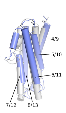 Hyperlipid: Life (27) Alphabet soup