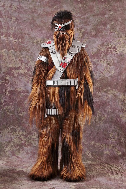 Cuna de la Fuerza: Universo Expandido: El Cazarrecompensa wookie Snoova