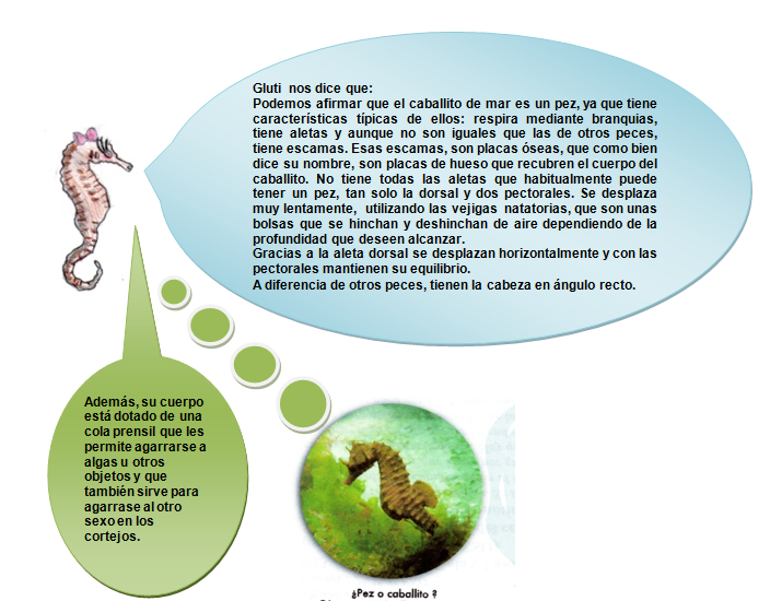 Campaña por la defensa del caballito de mar en la ría de Vigo