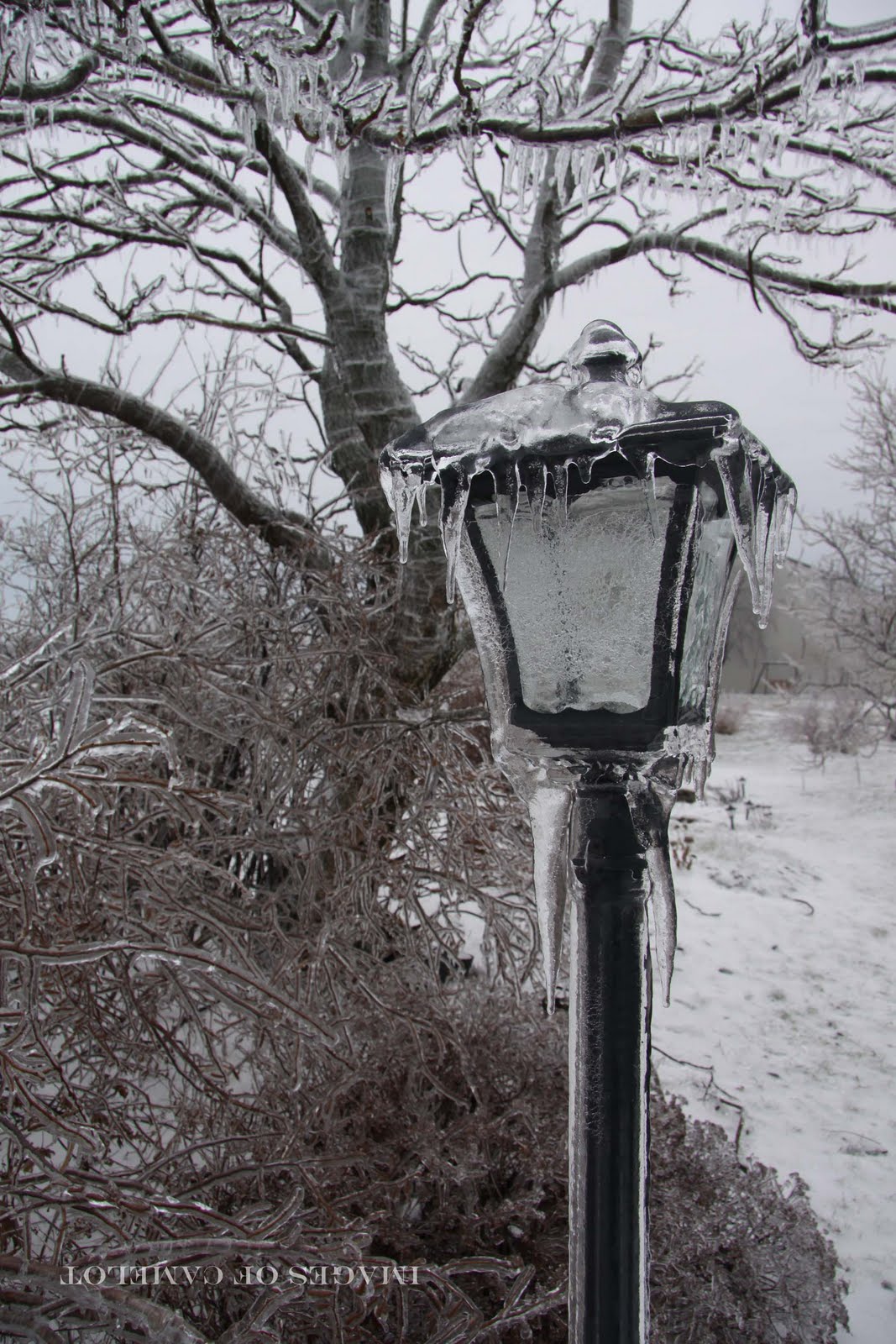 Images Of Camelot Photography and Design: Random Pictures We Like