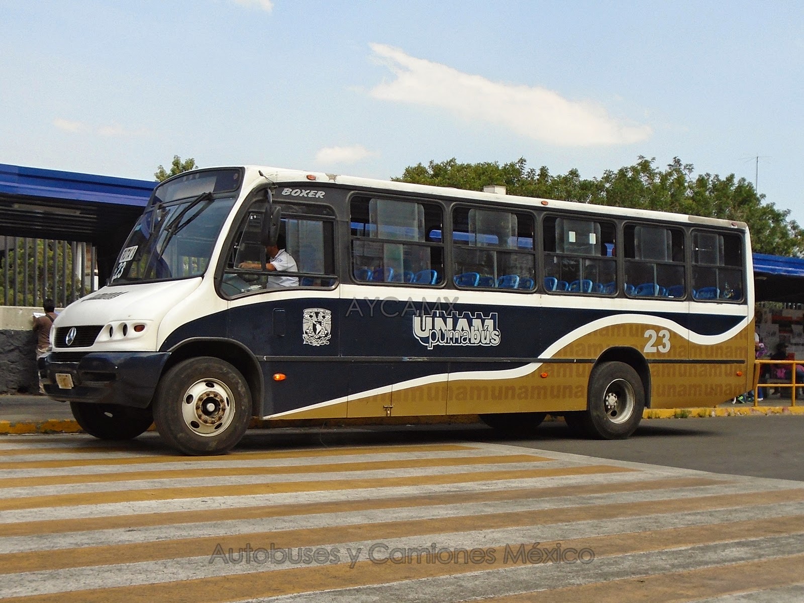 AYCAMX - Autobuses y Camiones México : Camiones Distrito Federal 138 ...