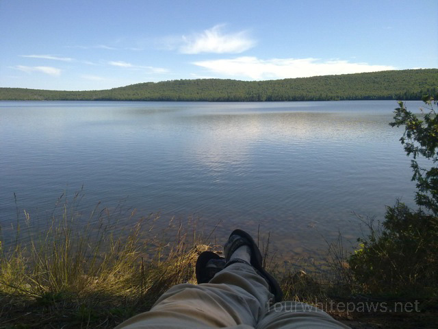 fourwhitepaws: making time to grieve