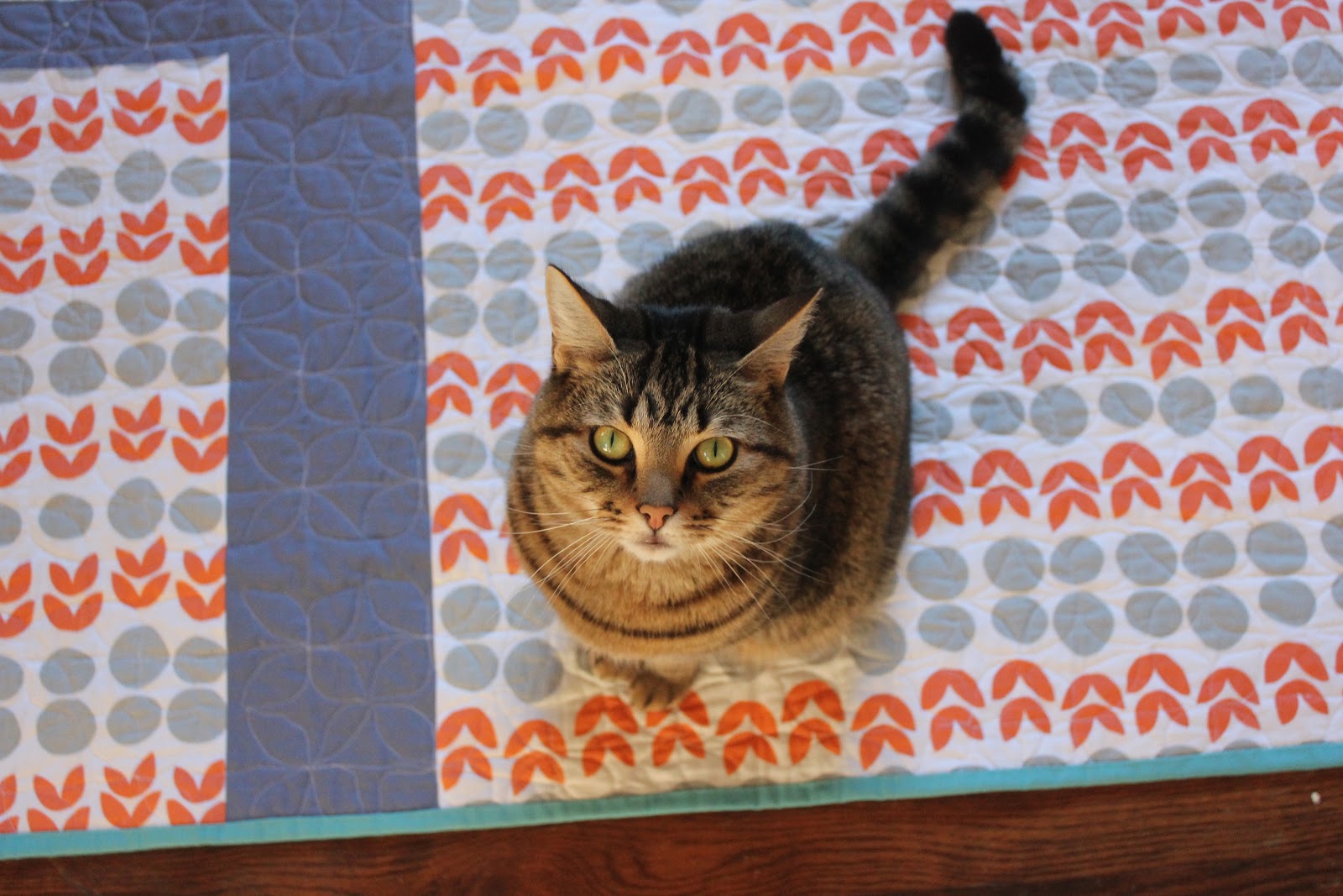 Stitching and Bacon: The Stars Aligned and I Finished a Quilt!