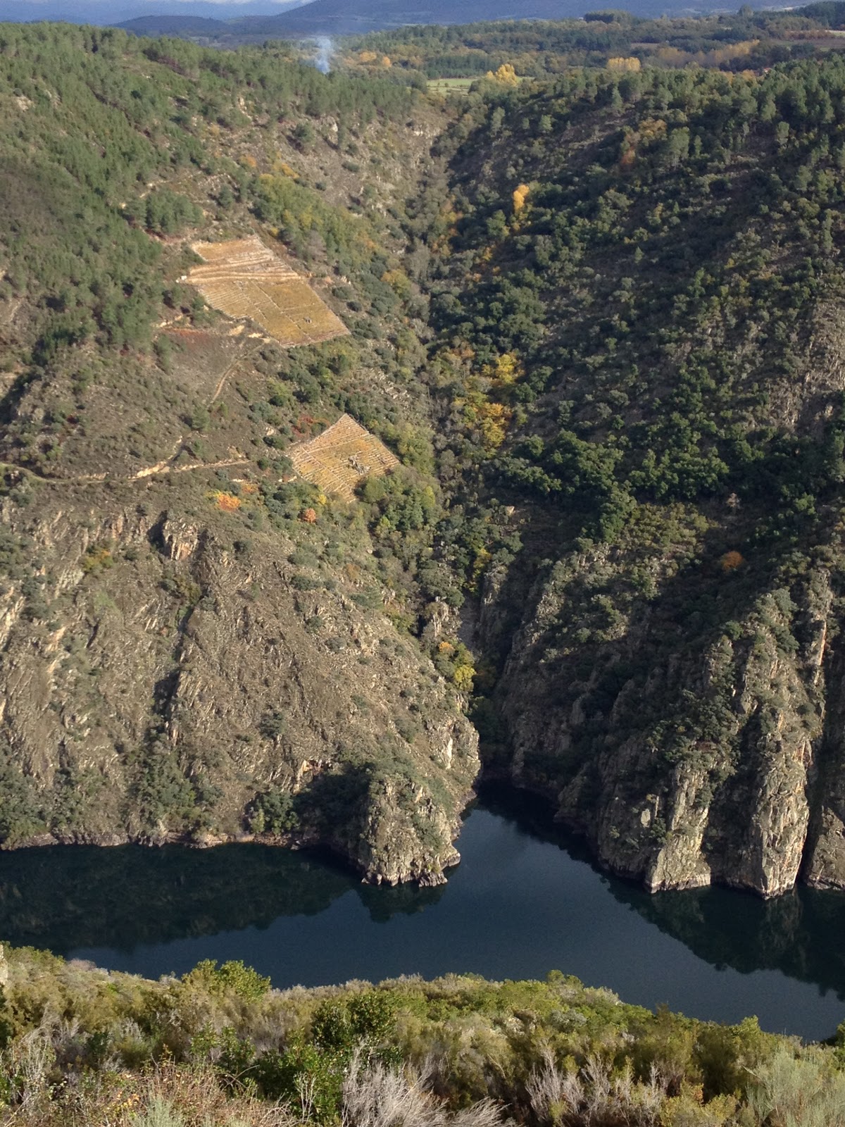 río Sil | Galicia pictures / Fotos de Galicia (E.V.Pita)