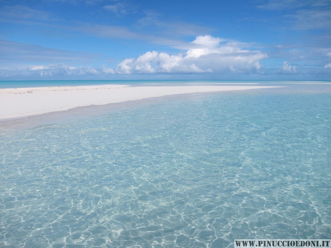 Isole BAHAMAS in libertà: Sandy Cay e ritorno a Exuma