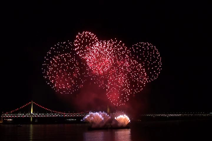 Semiye's environment, plants, alternative media stories.: Fireworks ...