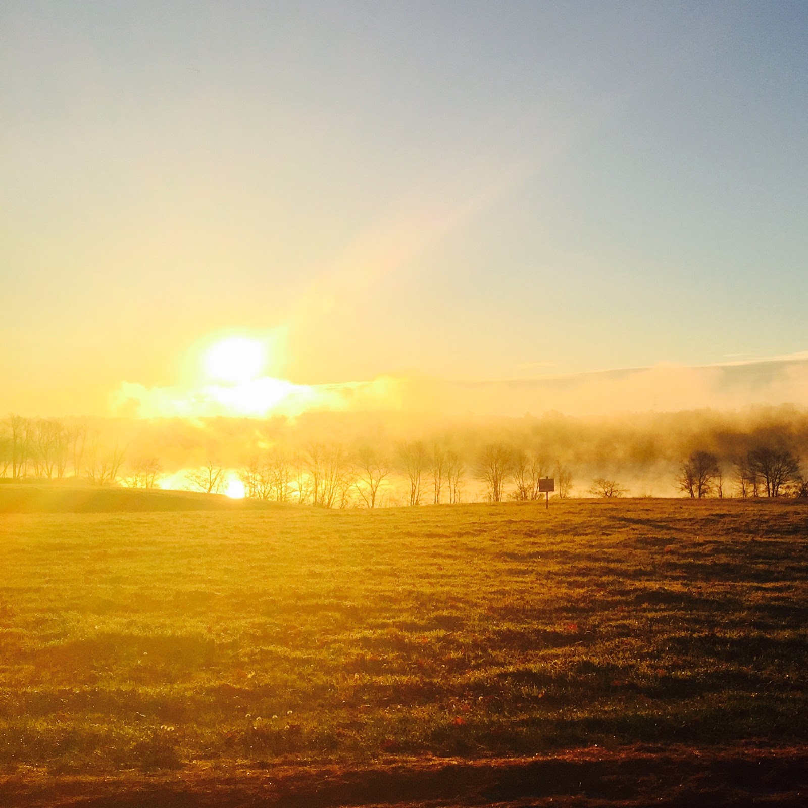 Art from the Heart by Catherine Scanlon Designs: 2015