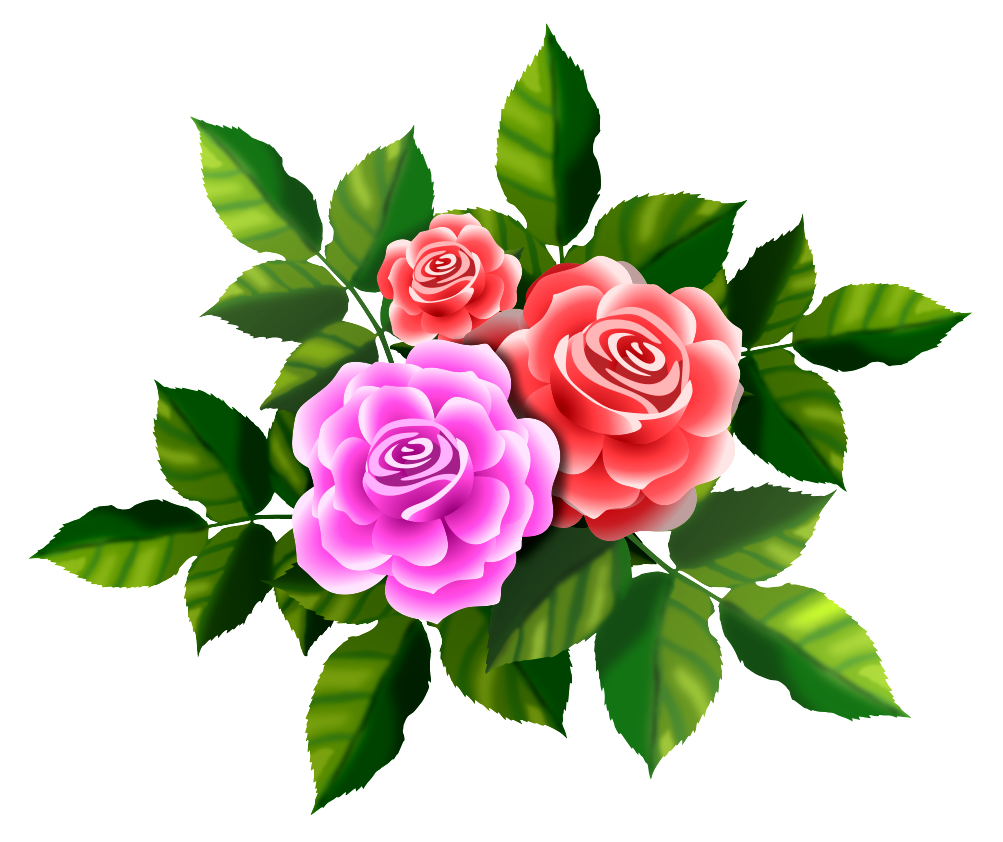 Inkscapes: Roses - Rosas - 25012018