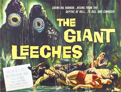 Anatomy & Physiology: Neurophysiology Leech Lab