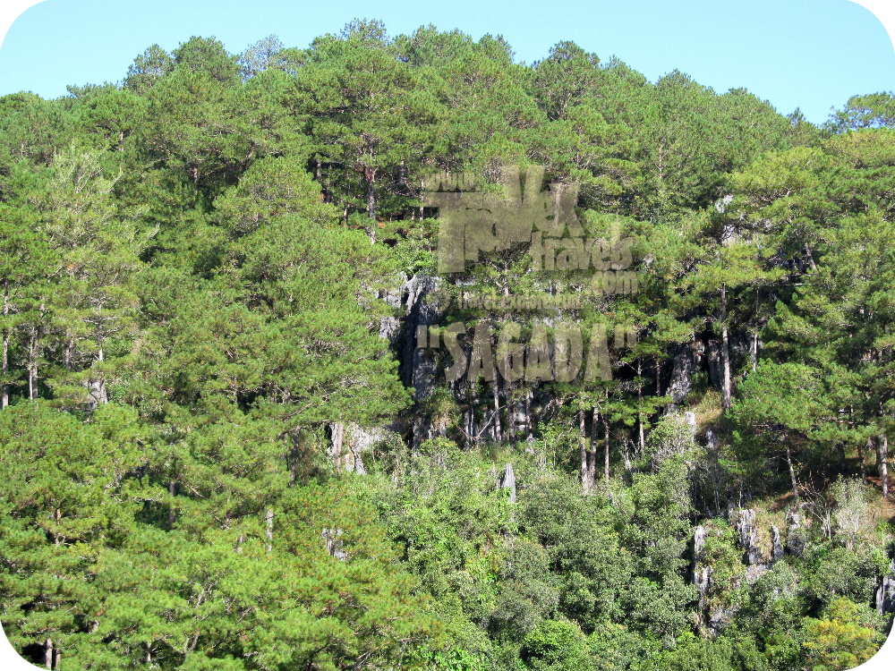 Amazing Sagada Rock Formations - Travex Travels - Travel. Explore. Fun ...