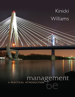 Management: A Practical Introduction, 6th Edition, Angelo Kinicki PDF ...