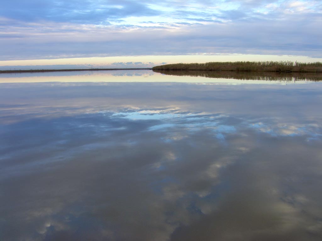 Kayaking the Mobile-Tensaw River Delta: 12/27/2009 - Mobile River