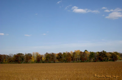 ~~LIVE~~LAUGH~~LOVE~~: The Next Snoopy and The Red Baron!