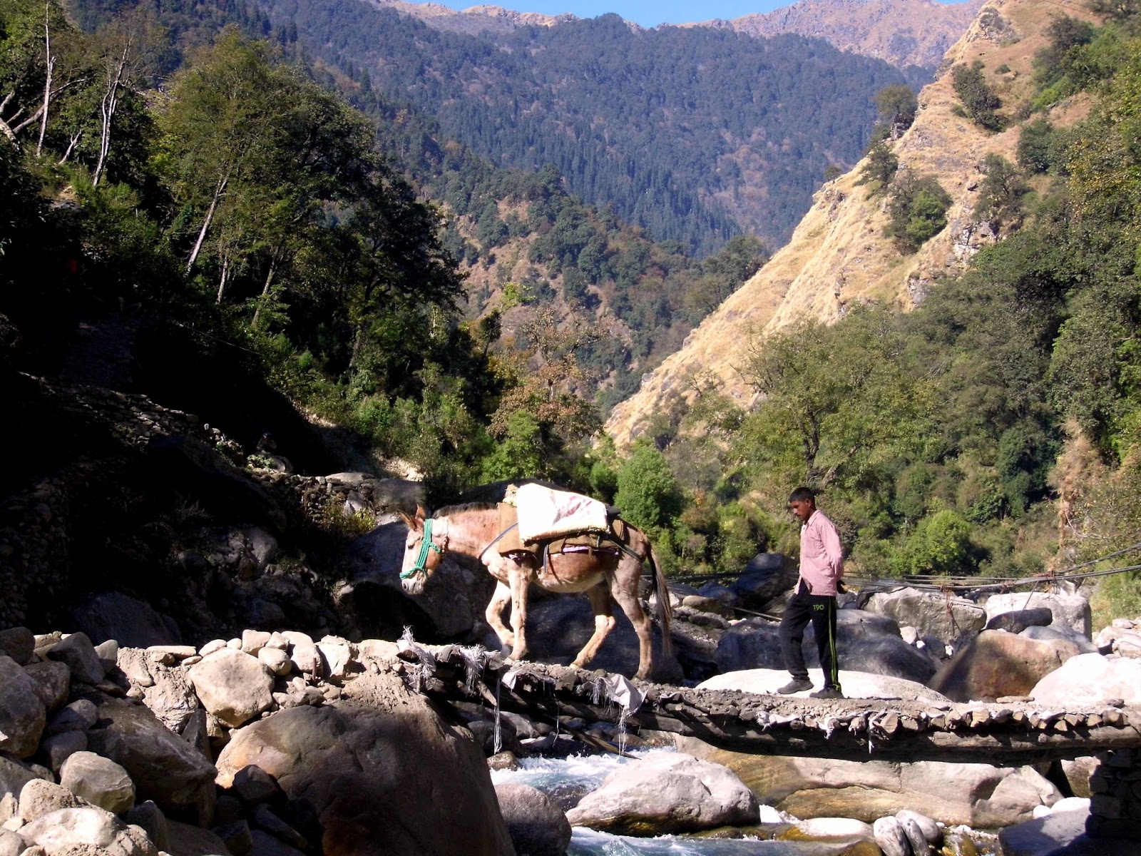 It Was One Worthy Trek To Kalpeshwar