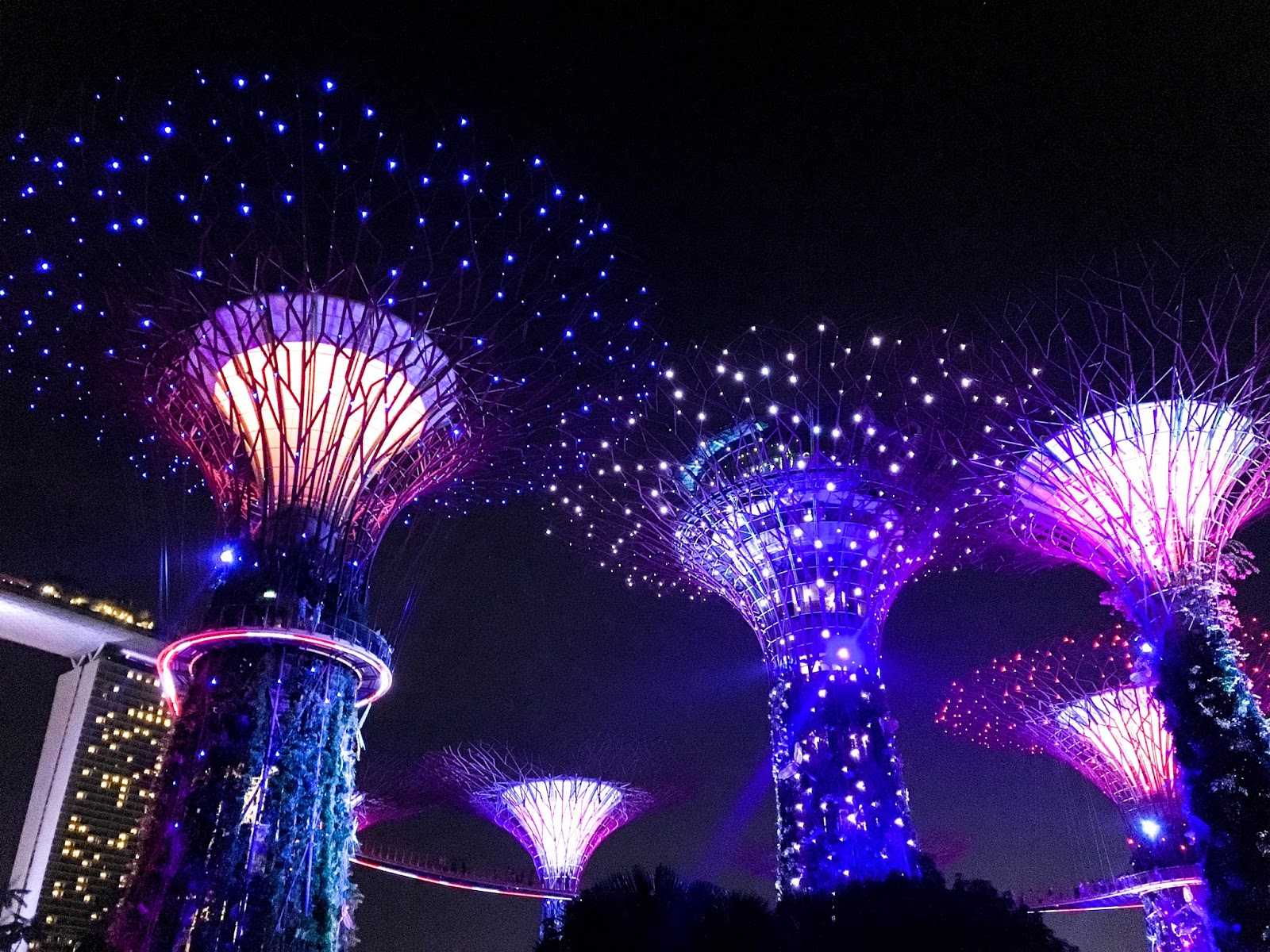 Sentosa Island At Night