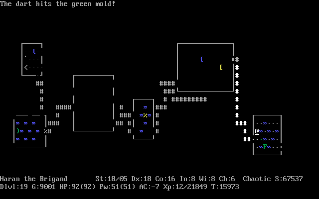 The CRPG Addict: NetHack: He Coulda Been a Contender