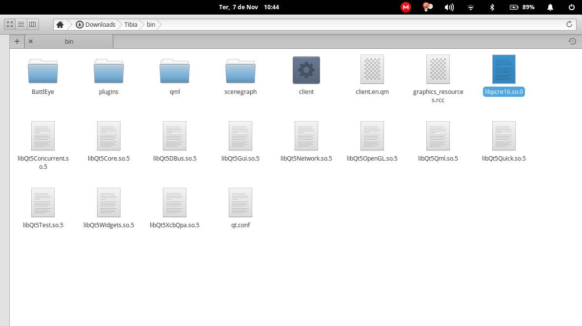 Jogos no Linux: Como instalar Tibia no elementary OS 0.4.1 Loki / Ubuntu