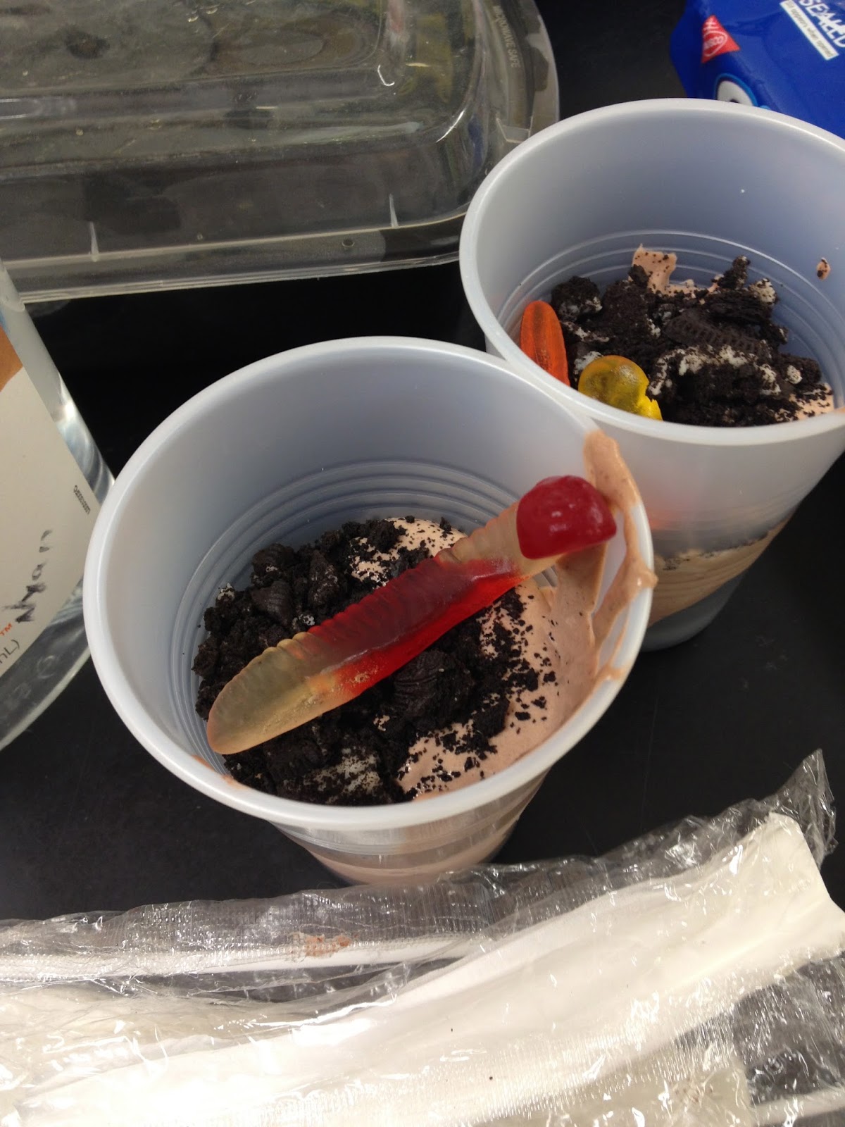Autism Tank: Cooking: Dirt Cups