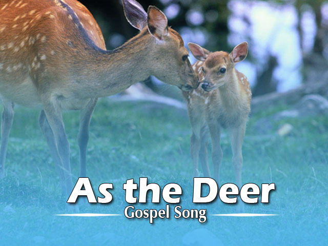 As the Deer (Gospel Song) Lyrics and Notes for Lyre, Violin, Recorder ...