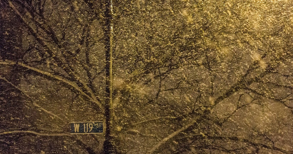 Curiosités et futilités à New York