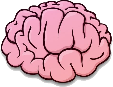 Mediální proroci: Jeden mozek + druhý mozek= kolektivní inteligence?