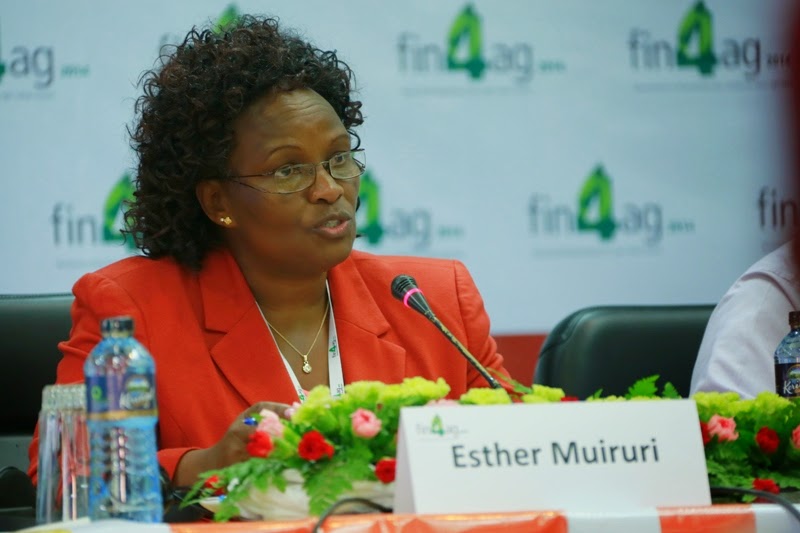 Laikipia Rural Voices (LRV): Importance of building data collection as ...