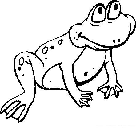 imagini broasca broaste broscuta fisa plansa ~ Desene Imagini de colorat