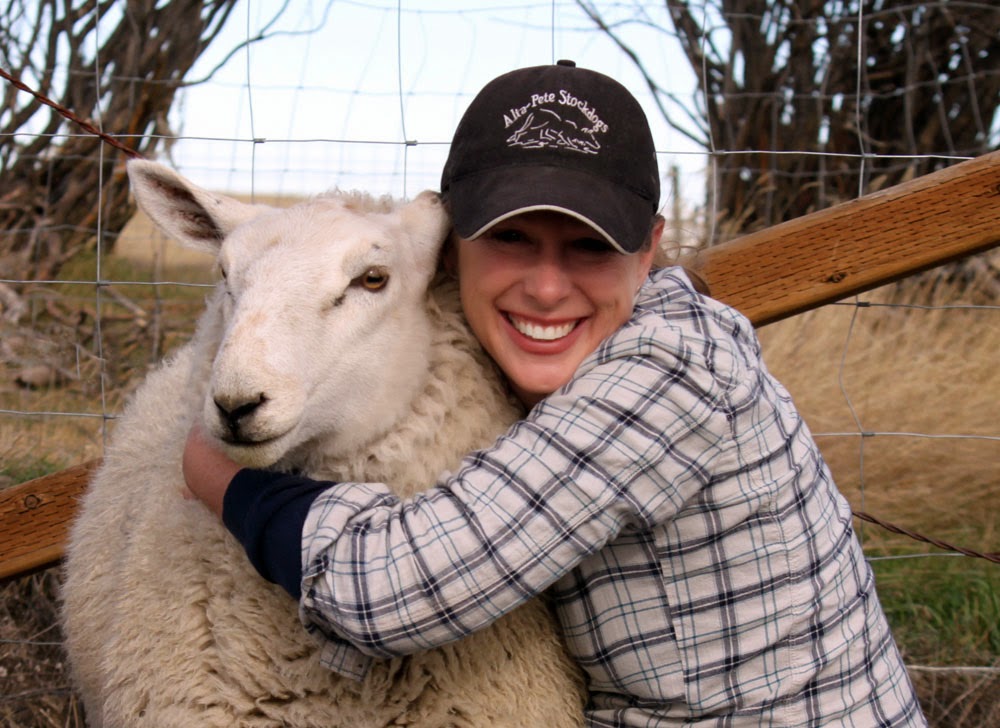 (Inter) National Hug A Sheep Day