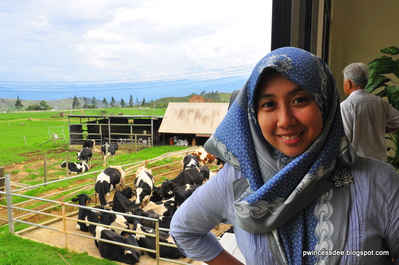 Rumbles and grumbles of a pwincess: Splendid Sabah - Part 3