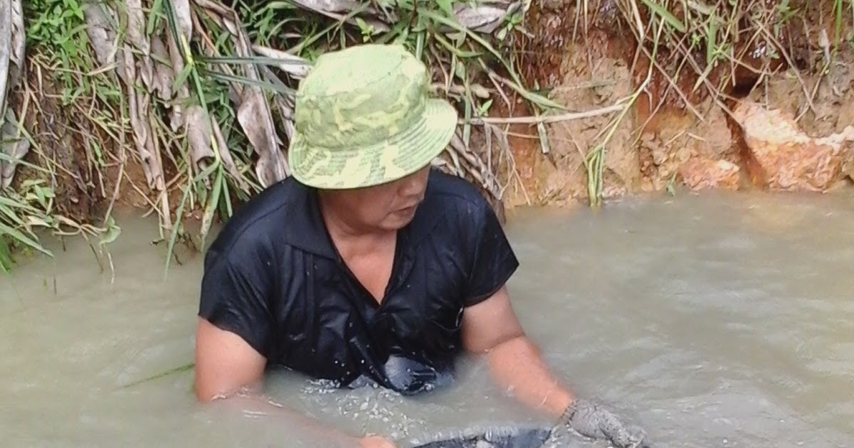 Emas Alluvial - World Of Exploration