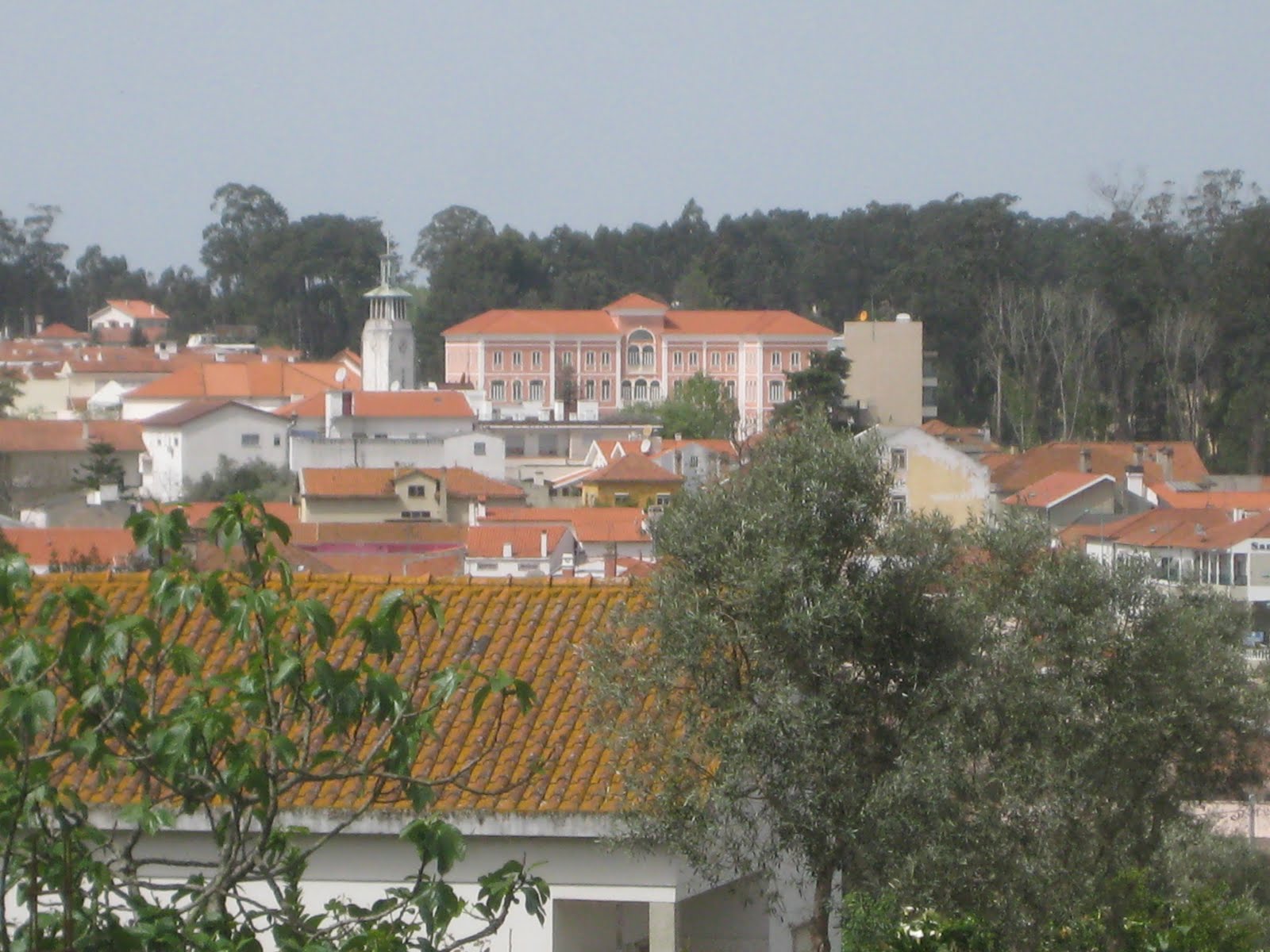 TRABALHINHOS D' AVÓ: Pnorâmica de Monte Real