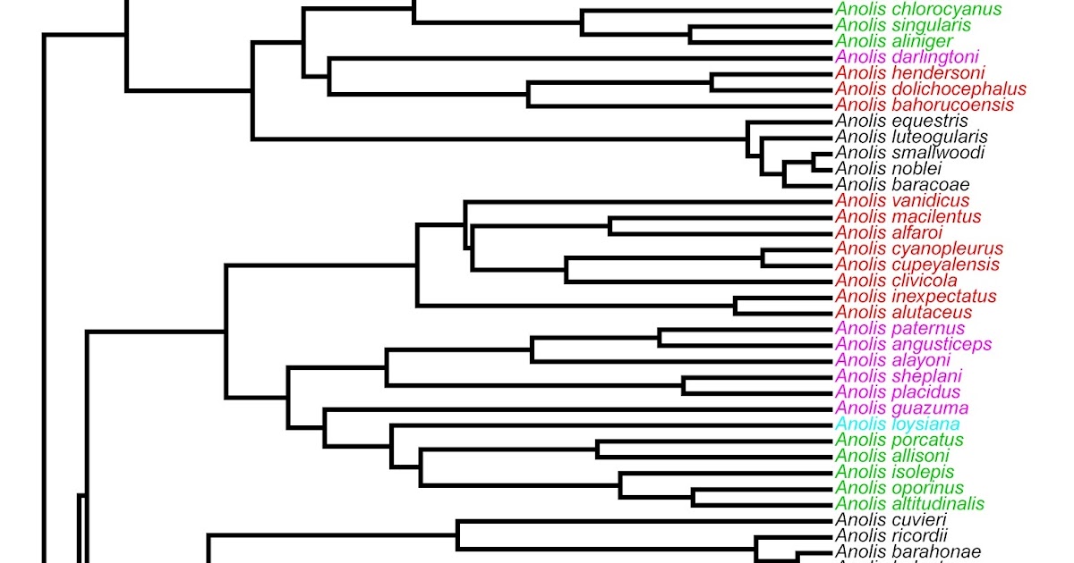 Phylogenetic Tools For Comparative Biology Coloring Tip Labels By Character State