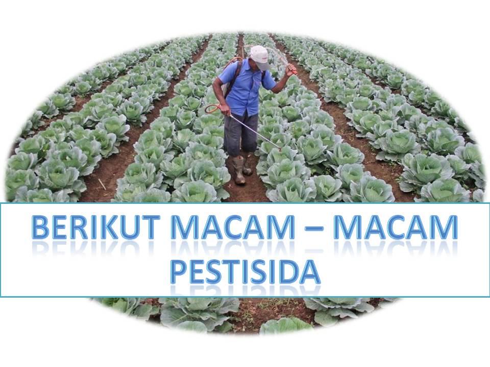 Berikut Macam - Macam Pestisida - Hama & Penyakit Pada Tanaman