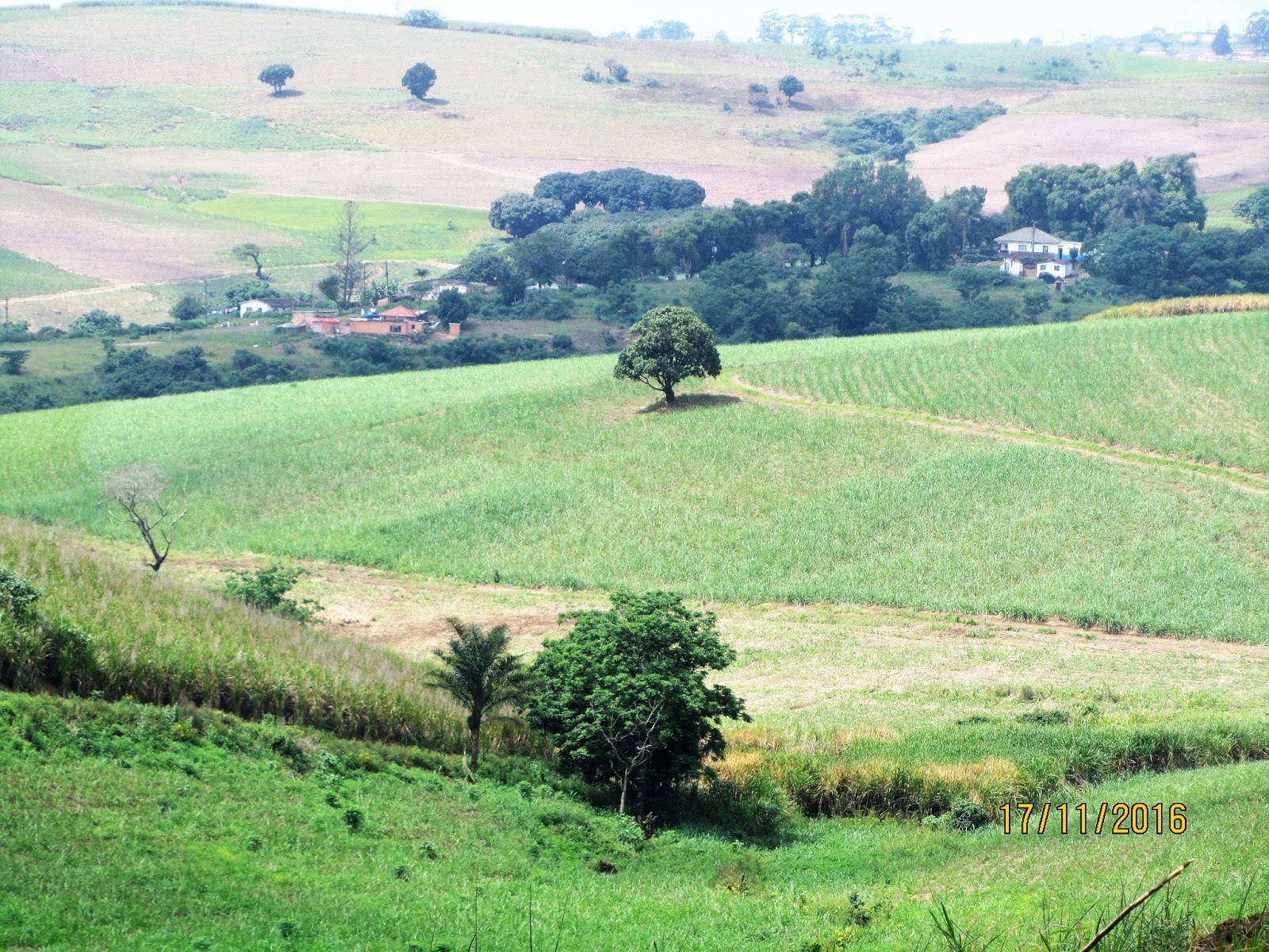 The Subry Govender Column: "THERE SHOULD PERMANENCY AND DEVELOPMENT FOR ...