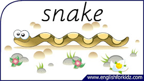 English for Kids Step by Step: Wild Animals Flashcards