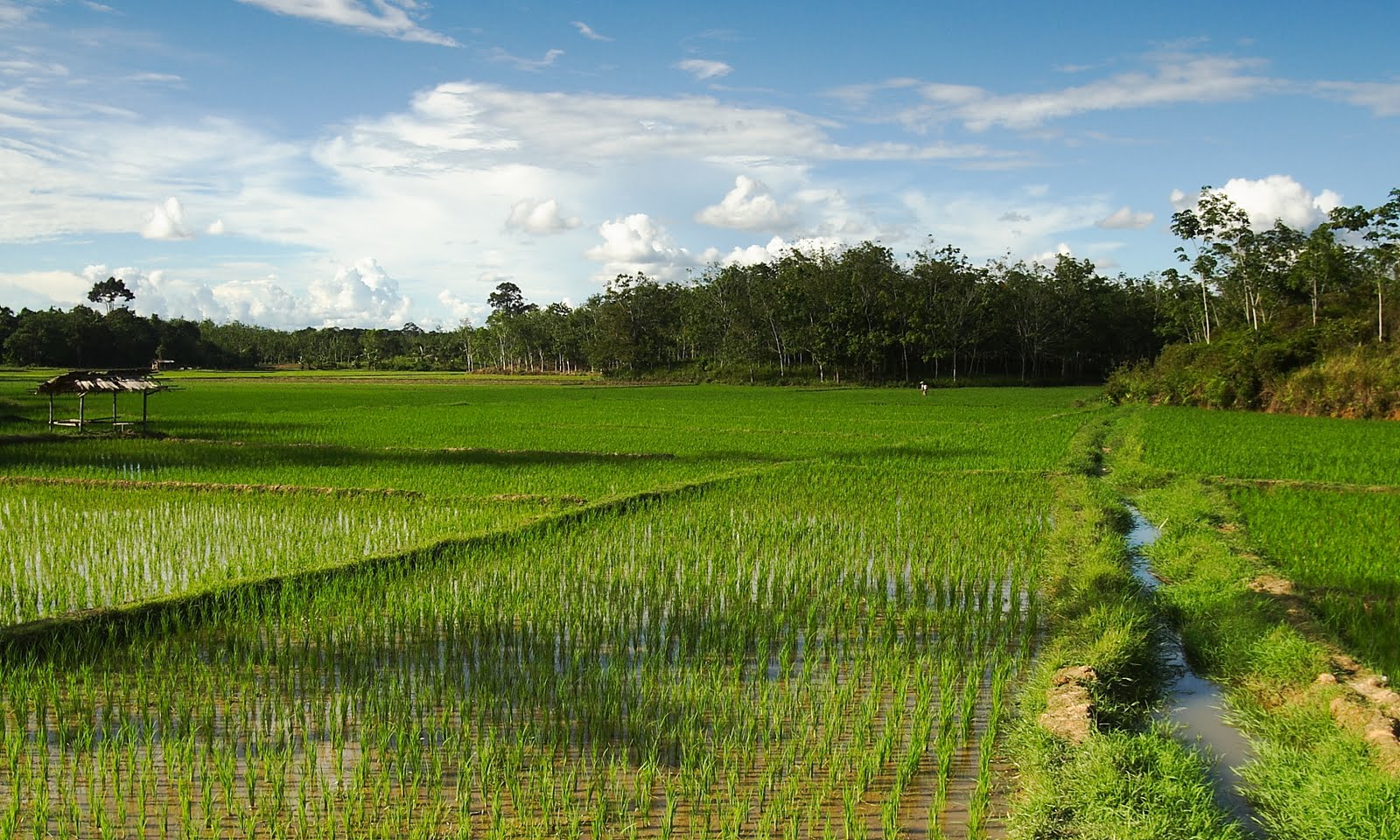 ABOUT BANGLADESH: BANGLADESH