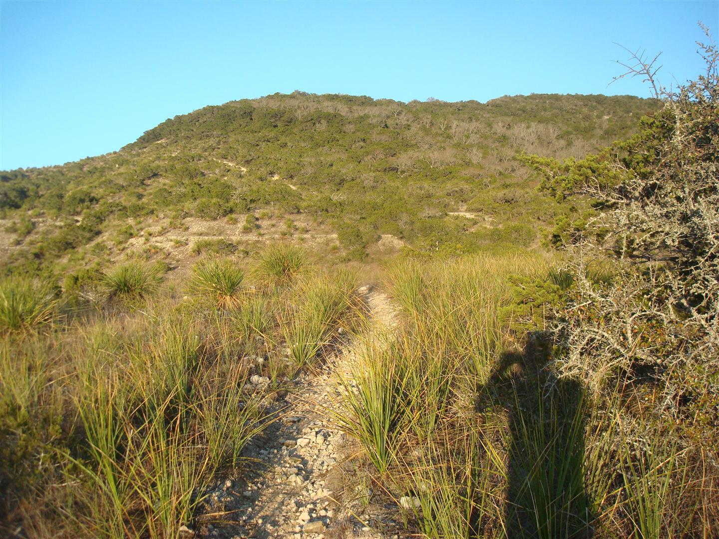 CO-Runner: 2012 Bandera 100k Report
