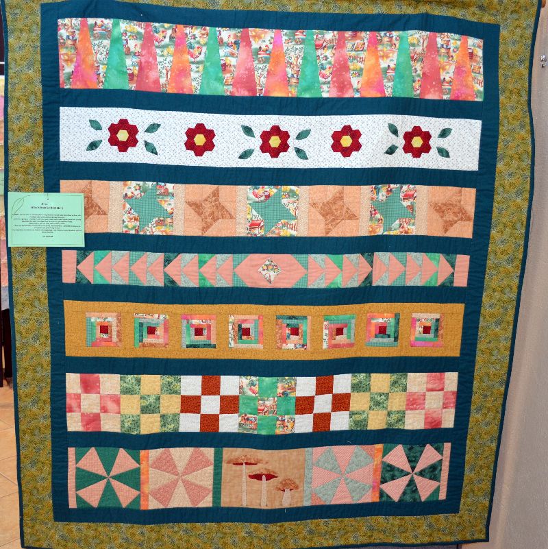 BUDERIM PATCHWORK: Part 5 2011 Quilt Show