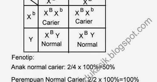 Genetika, Sub Bab Pautan Kelamin - Biologi Edukasi: Belajar Sains Biologi