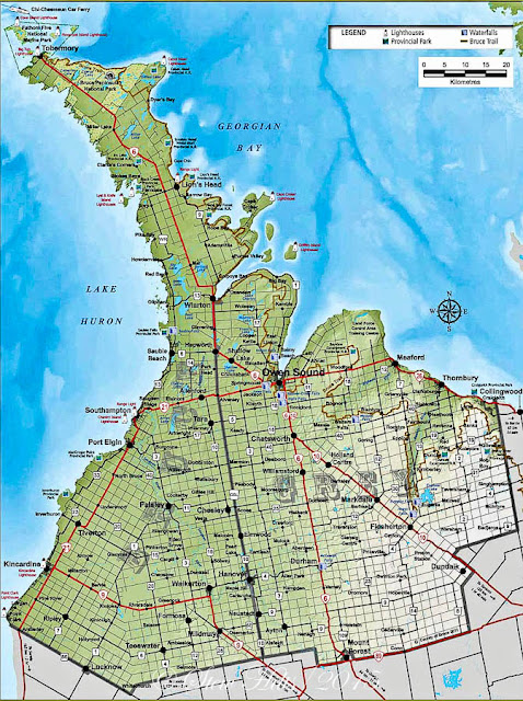 Seasons in the Valley + Furry Gnome's Adventures: Introducing the Bruce ...