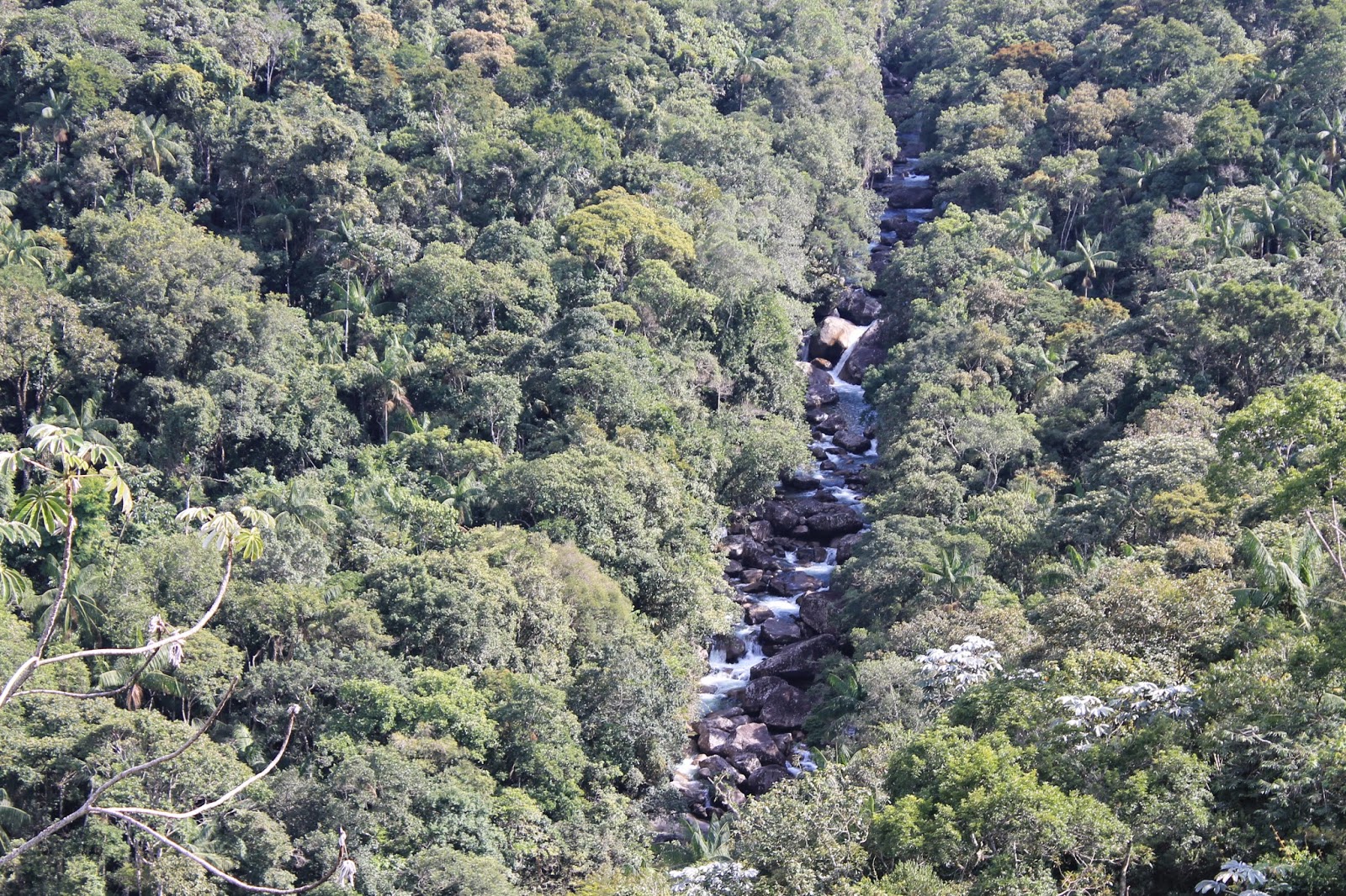Tudo o que vivo...: Parque Nacional do Itatiaia e Penedo - RJ