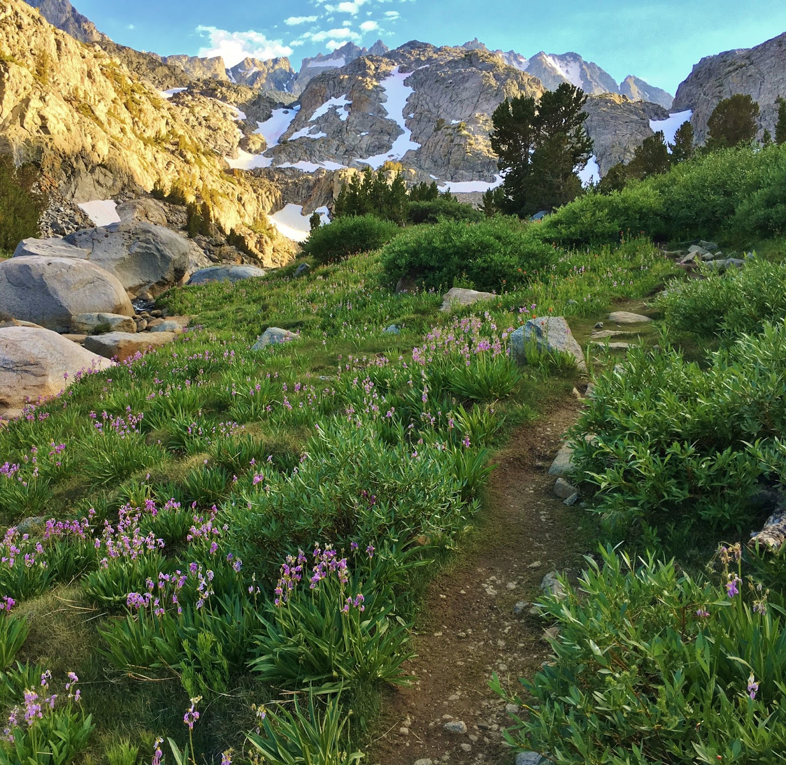 Life is a mountain.: Hiking Big Pine Lakes to Sam Mack Meadow in High ...