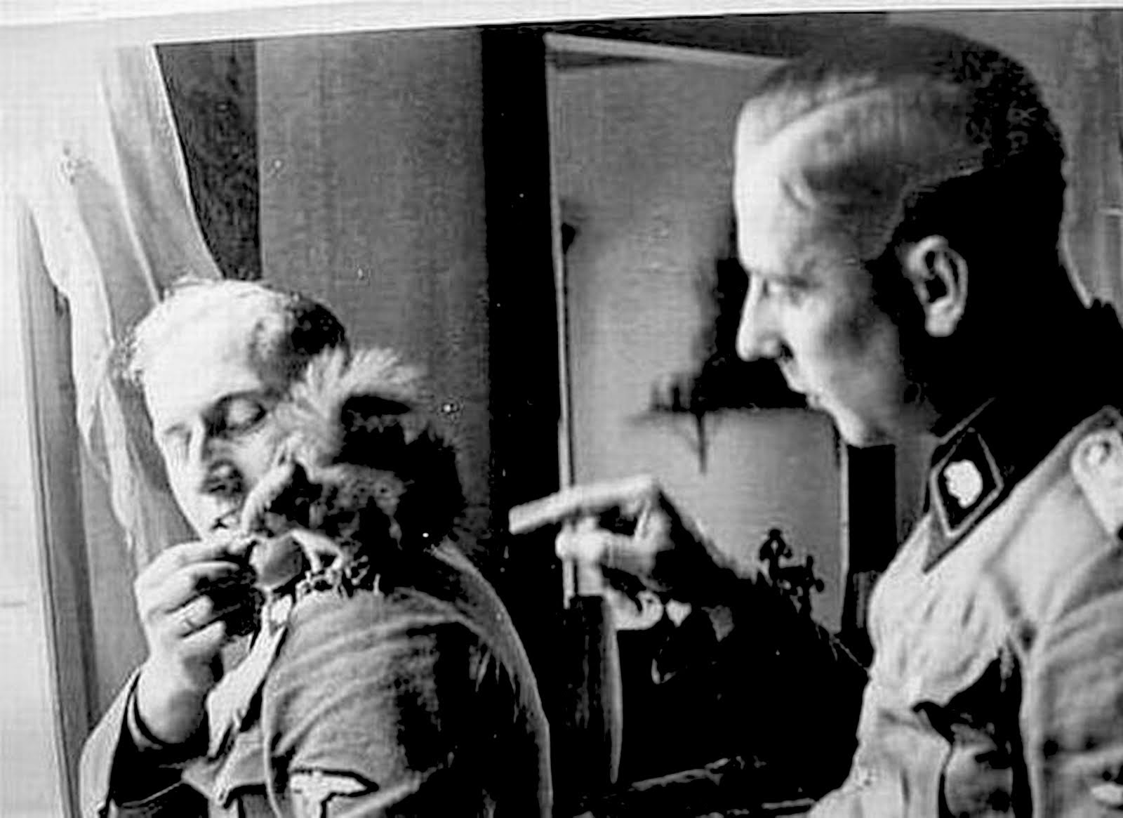 NAZI JERMAN: Foto Bajing/Tupai (Eichhörnchen)