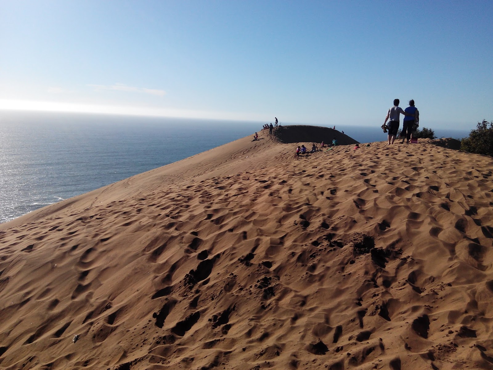 Curioseandando: Excursiones desde Santiago de Chile: Valparaíso y Dunas ...