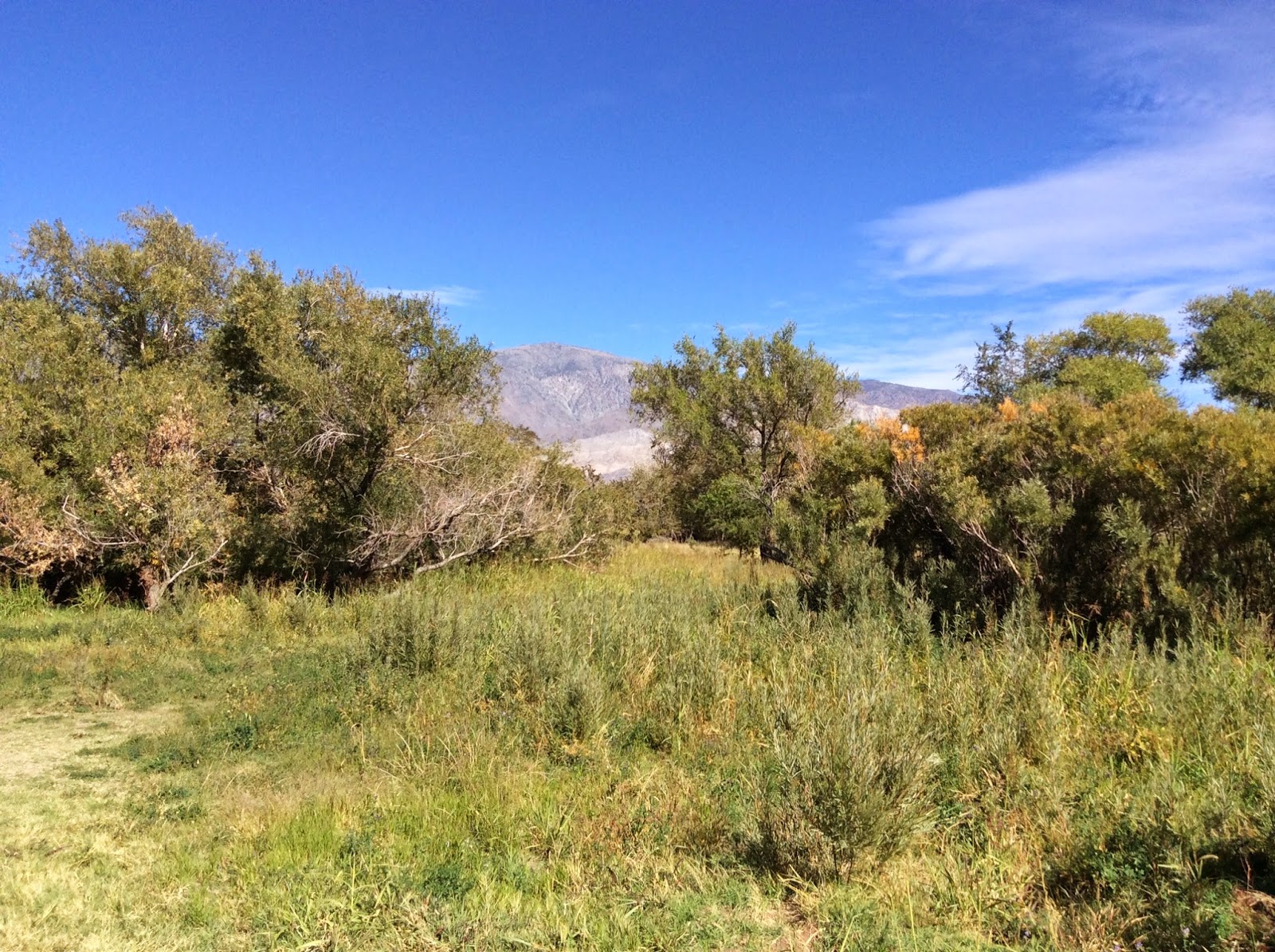 Laura's Miscellaneous Musings: The Lone Pine Film Festival: Anchor ...