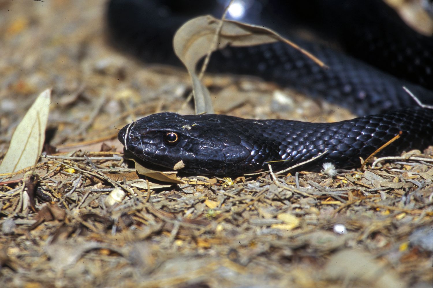 The Azure Gate: April 2012