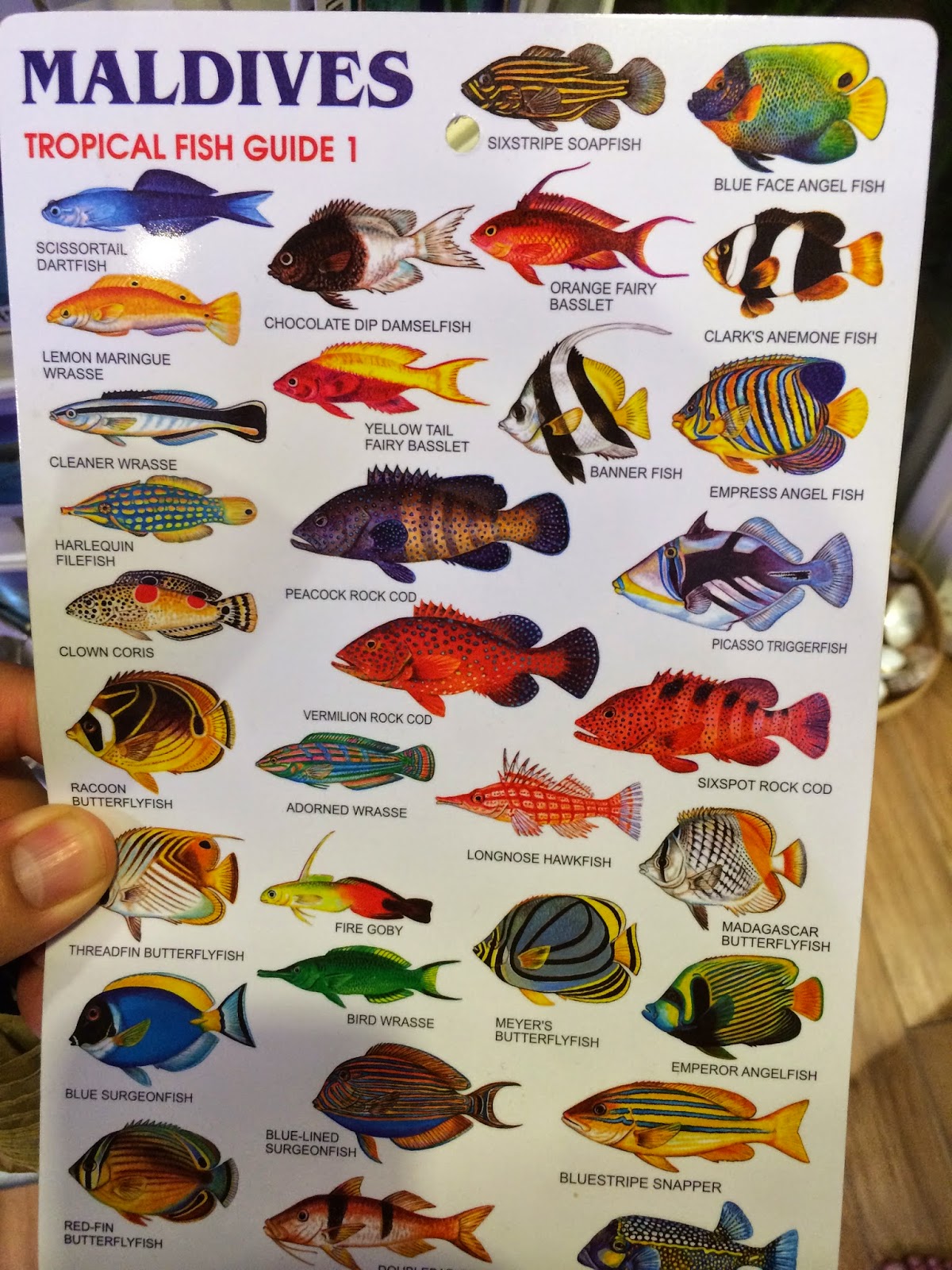 Shopping Huvafen Fushi - Maldives - Travel is my favorite Sport